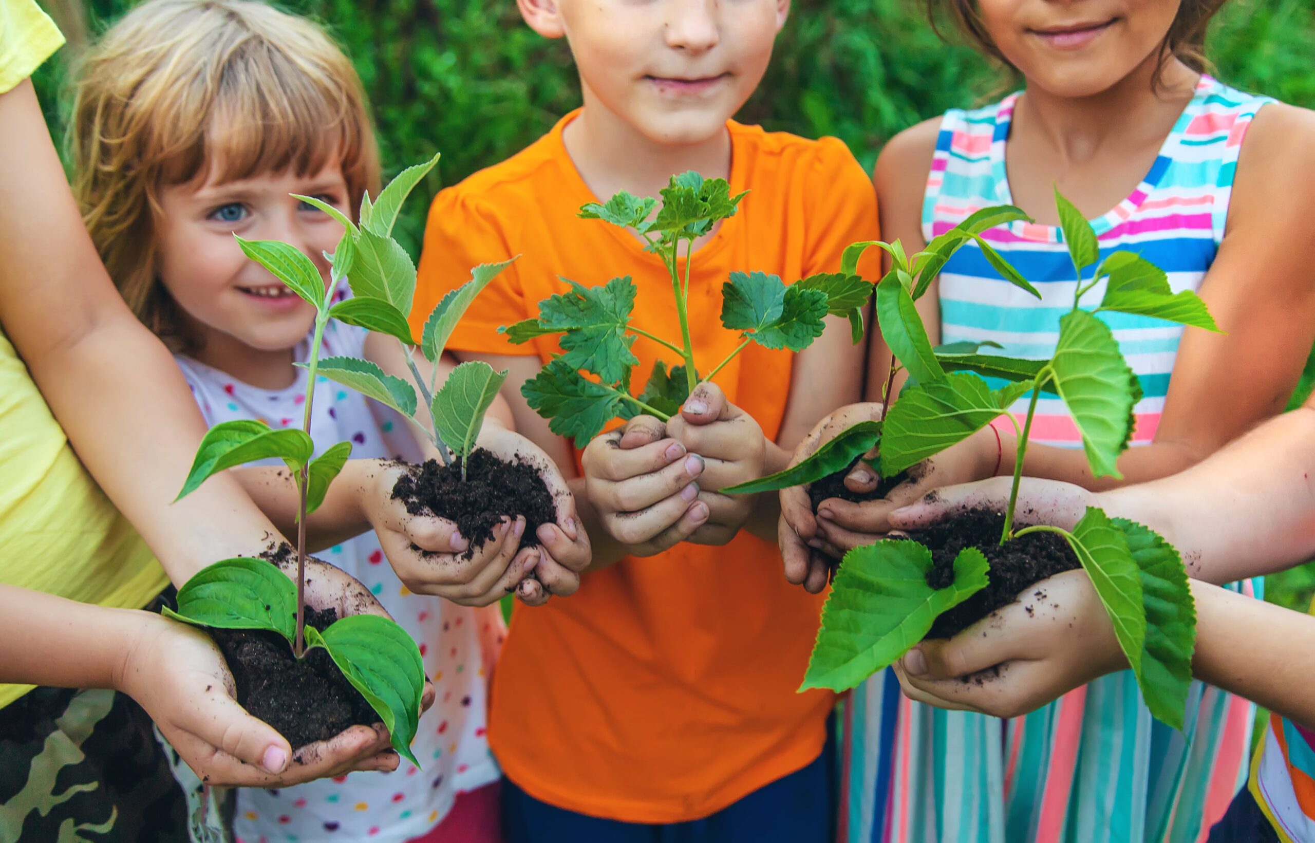 How Outdoor Adventures Support the Whole Child’s Growth and Joyful ...